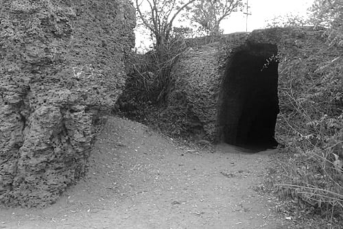 Send Safety & Health to Peddapuram